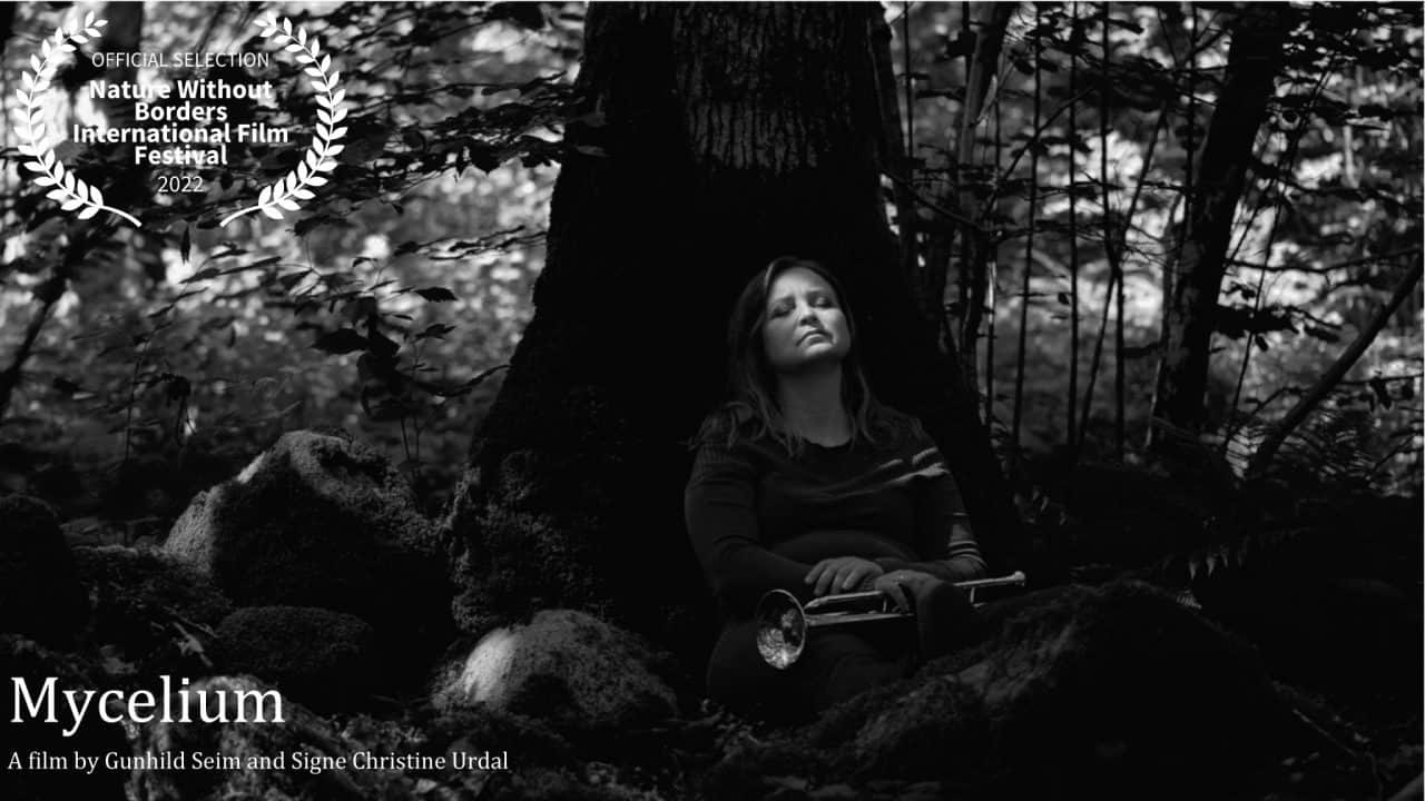 Mycelium (2021) | Gunhild Seim